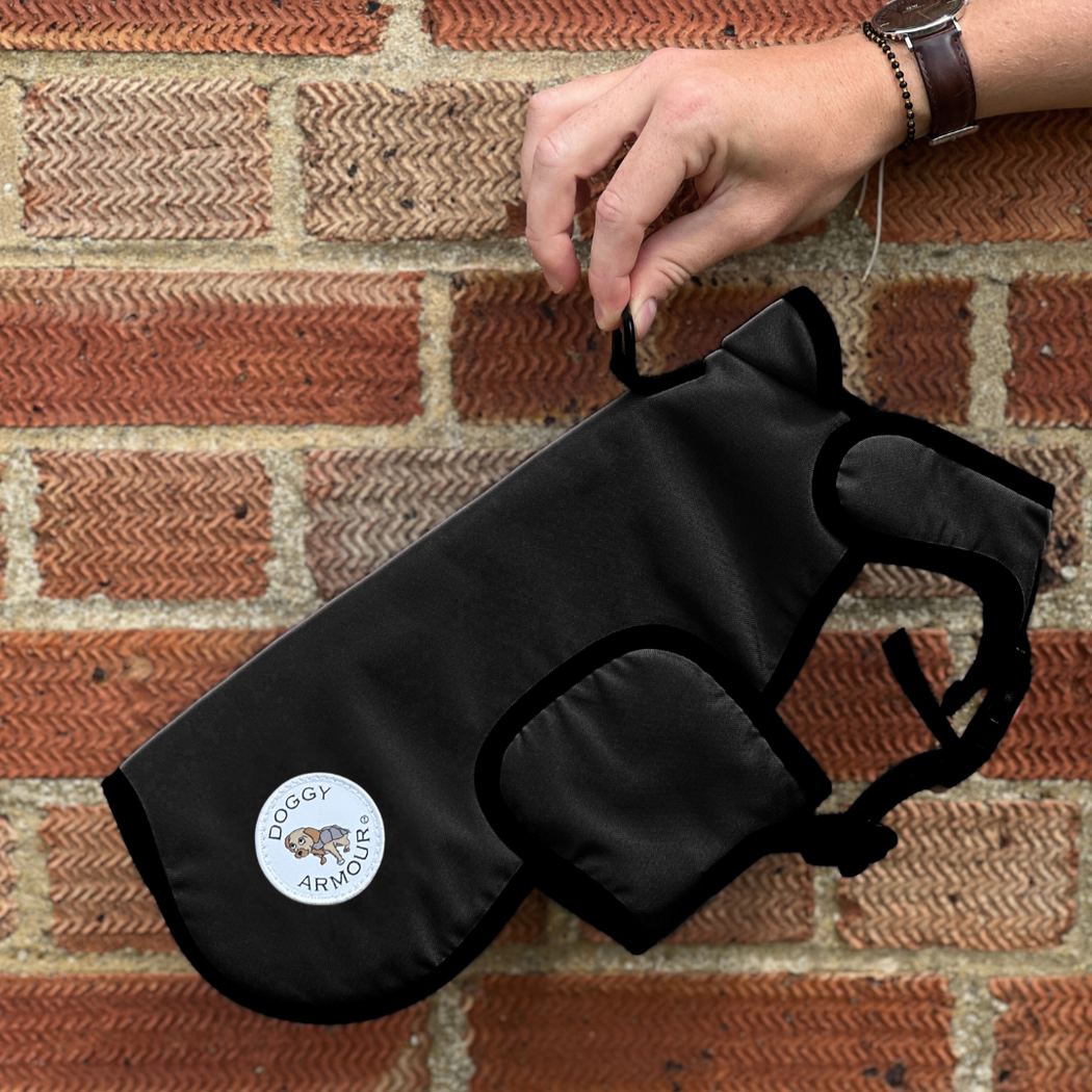 Essential Tips for Safe Dog Walks – Doggy Armour